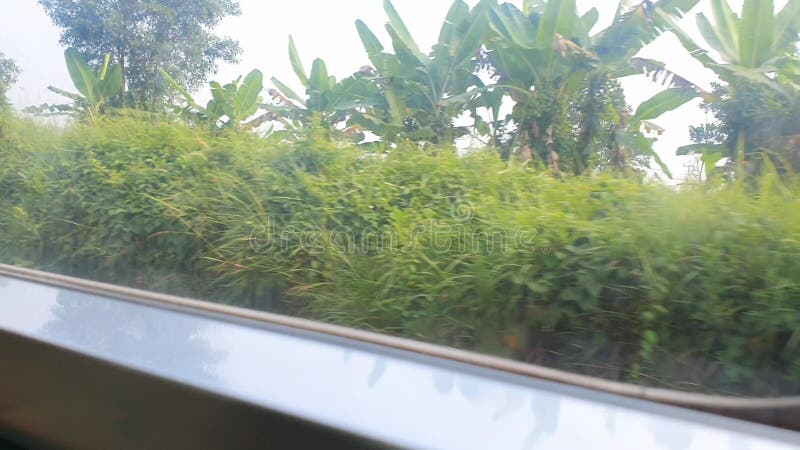 View from the Window of the Commuter Line Train Stock Video - Video of ...