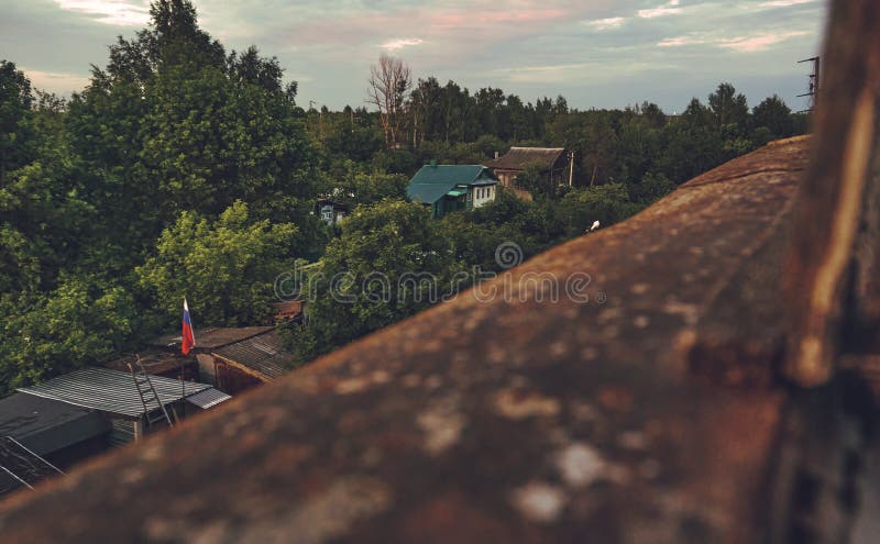 View from the Window. among the Dense Ravine of Trees and Bushes, There ...