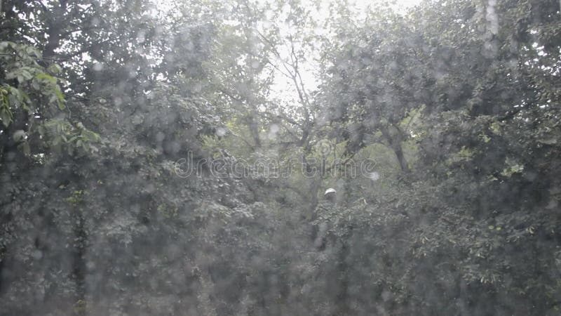 View from the Window on the Downpour and Storm Wind. Rainy Weather ...
