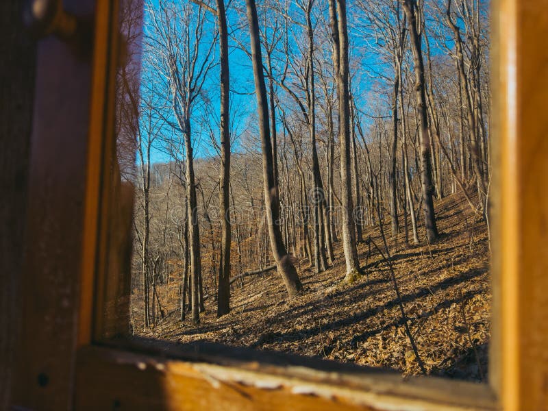 View through a Window Frame with a Forest in the Background Stock Photo ...
