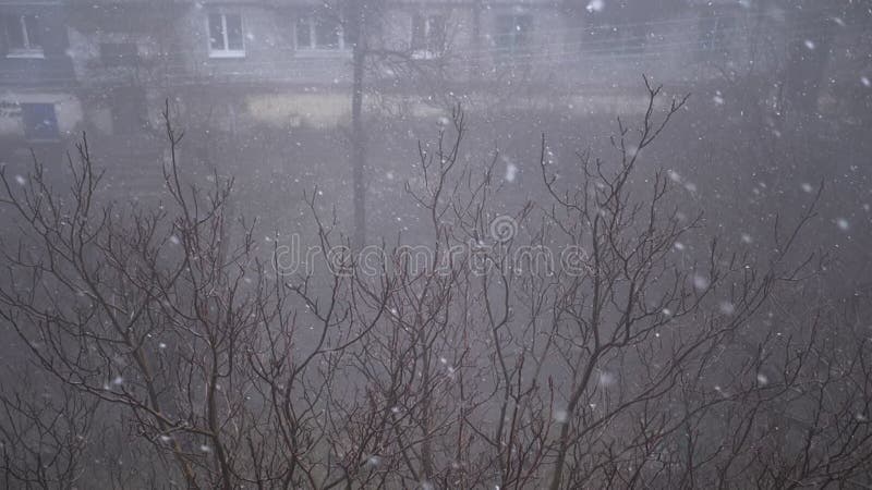 View from the Window on a Heavy Snowfall in Courtyard of Multistory ...