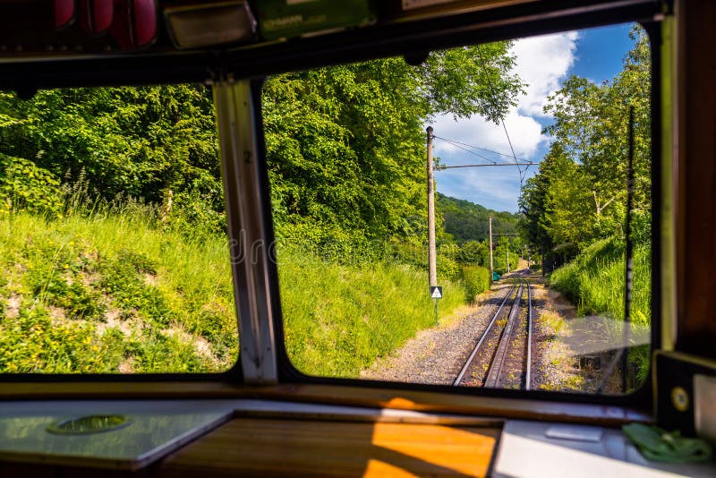 A View from the Window of a Moving Train, Visible Tracks, Trees and ...