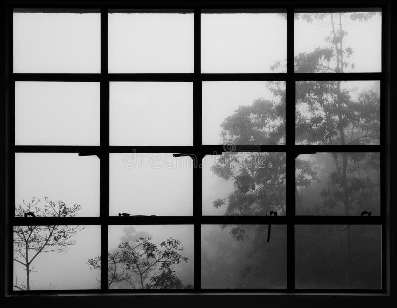 View through Window Pane with Trees in Fog and Mist As Background ...
