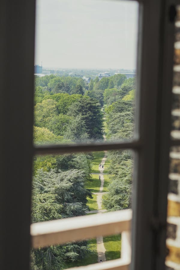 View from a Window Showing a Pathway in a Dense Greenery Park Outside ...