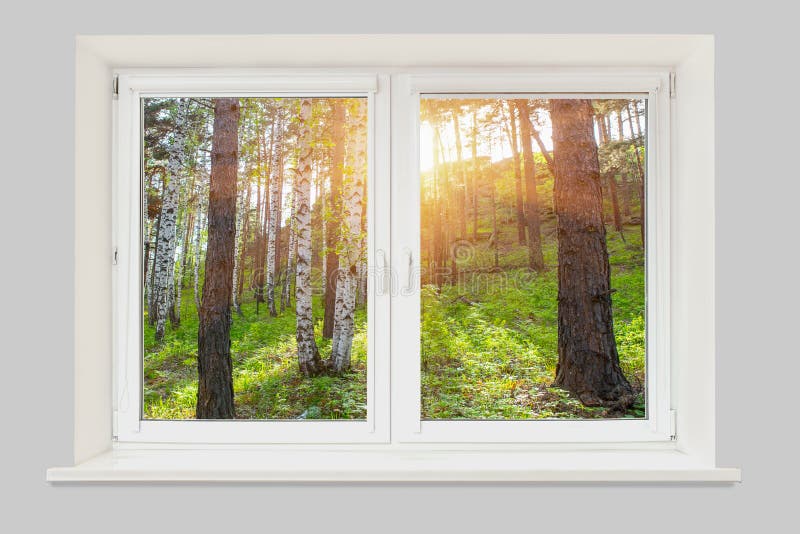 View from the Window at Sunset in the Forest Stock Image - Image of ...