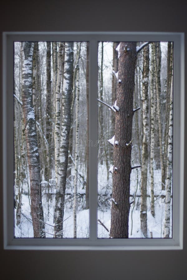 View from a Window To the Beutiful Winter Forest Stock Photo - Image of ...