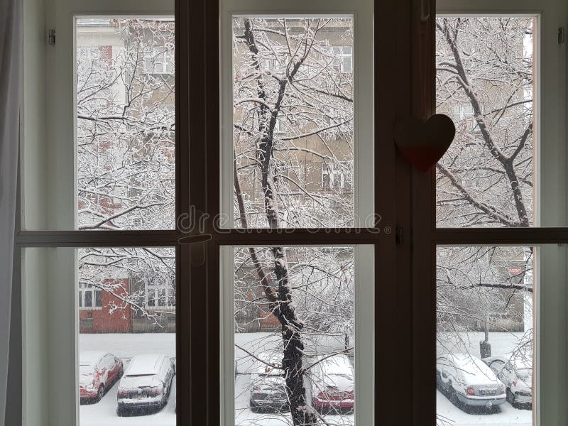 Two snow-covered trees stock image. Image of frosted - 23517243