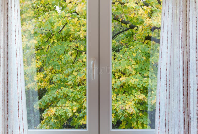View through a Window on a Windy Autumn Afternoon Stock Image - Image ...