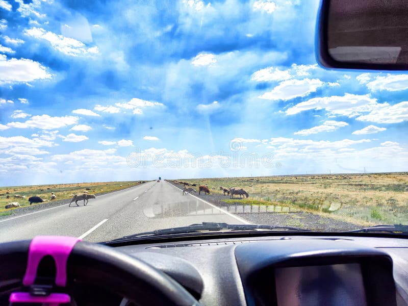 View through the Windshield Driving on a Paved Road through Open Green ...