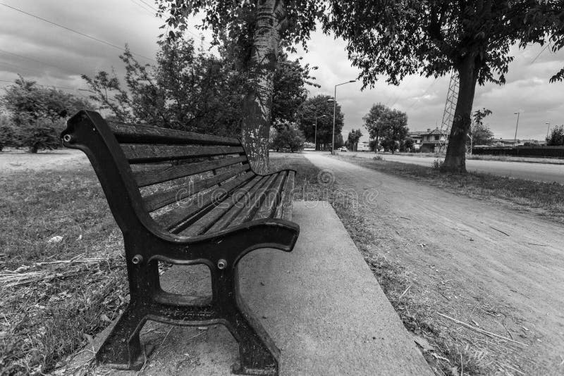 View of a Wooden Bench in a Park Shot in Grayscale Stock Photo - Image ...