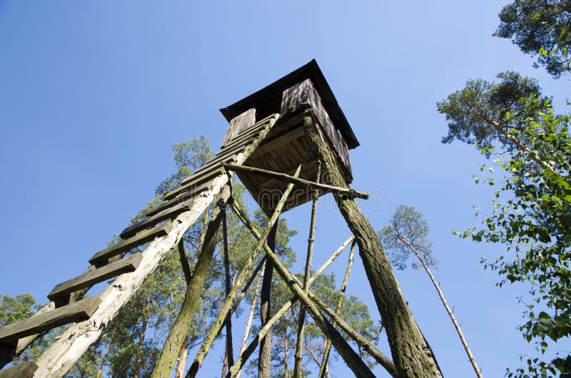 View of a Wooden Hunting Post in a Forest Stock Image - Image of seat ...