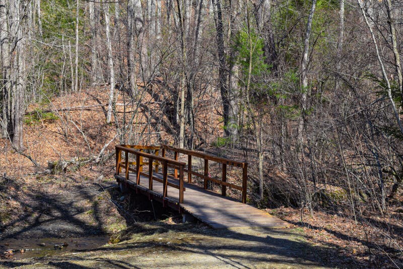 A Walk in the Woods of Central Massachusetts Stock Image - Image of ...