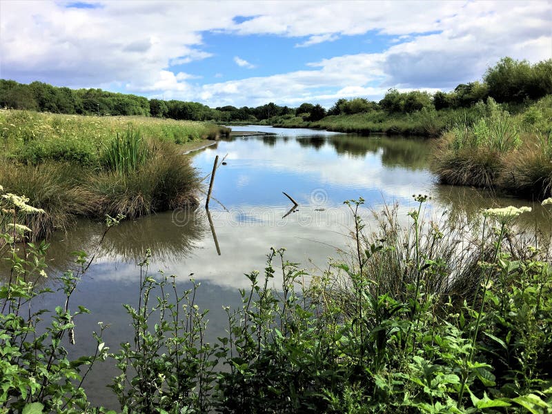 A view of WWT Washington stock image. Image of severn - 215265391