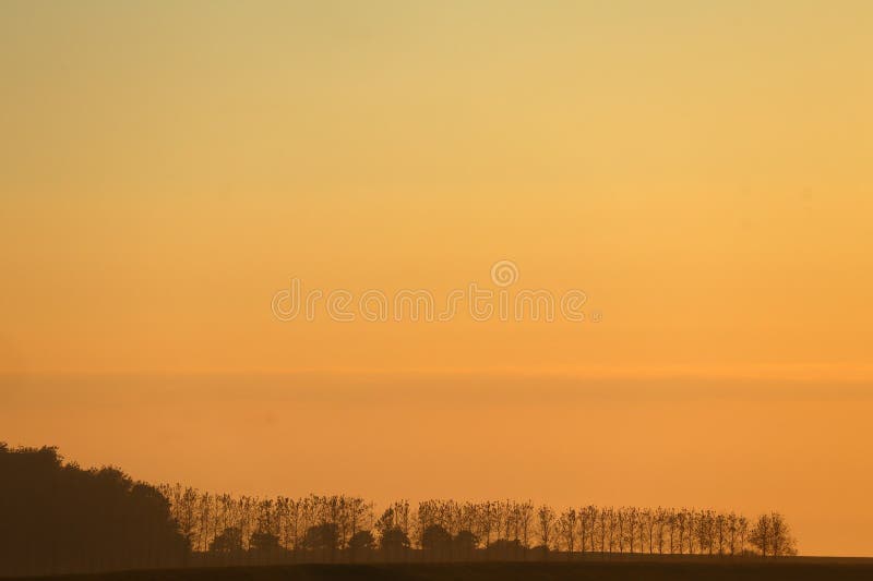 Orange Sunset Sky with Tree Silhouettes Stock Photo - Image of sunset ...