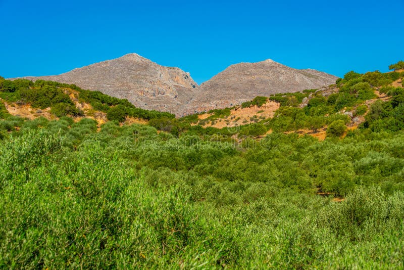 View of Zakros Gorge at Greek Island Crete Stock Image - Image of ...