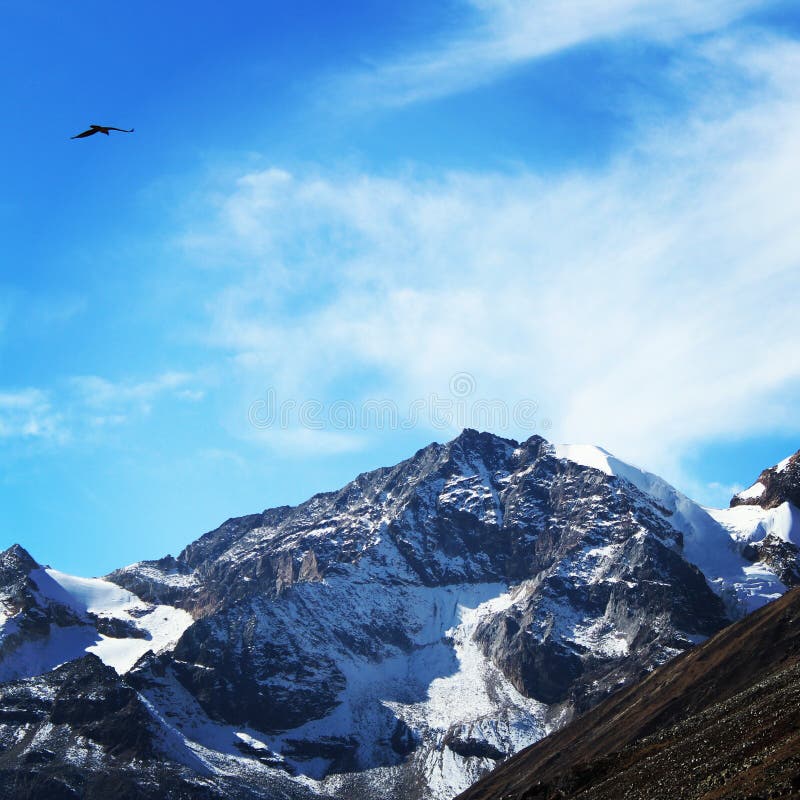 View from Zero point stock photo. Image of sikkim, nature - 124894982
