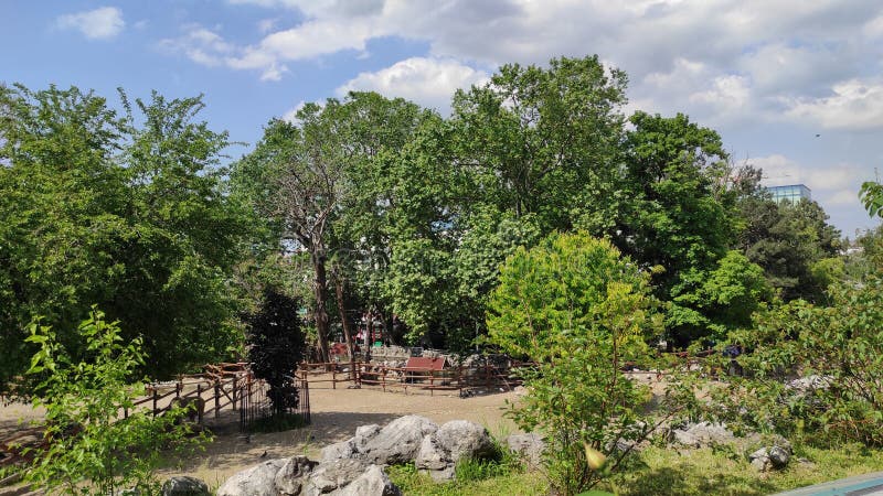 View of the Zoo in Belgrade, Serbia. Stock Photo - Image of backyard ...