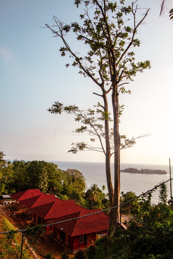 Viewing beach on a hill stock photo. Image of nature - 249048016