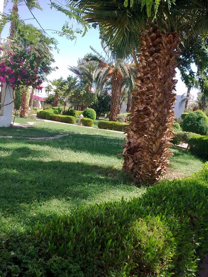 Sightseeing Interesting Views in Egypt Stock Photo - Image of yard ...