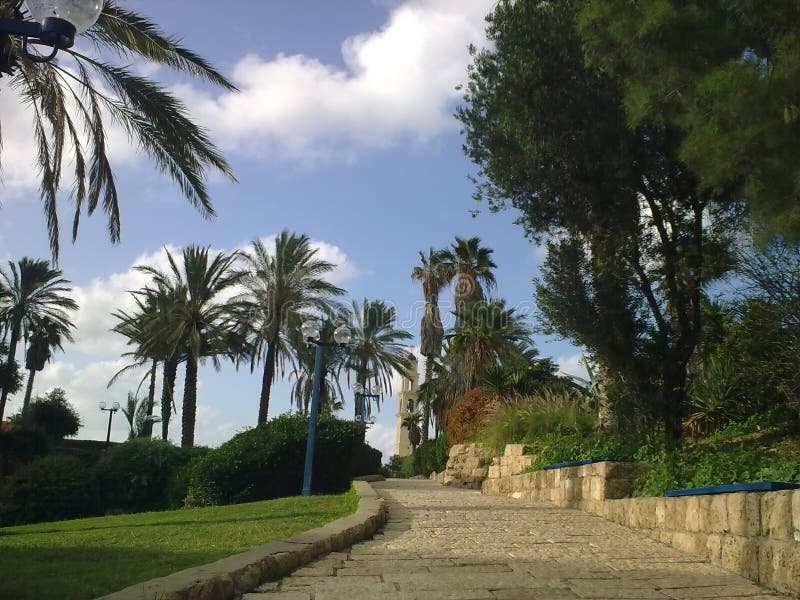 Sightseeing Interesting Views in Israel Stock Photo - Image of green ...