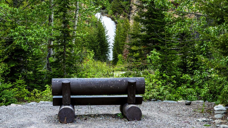 Viewing Bench and Forest Waterfall in Montana Stock Photo - Image of ...