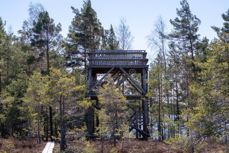 Viewing Platform at the Edge of the Lake Bog. Bird Watching Stock Image ...