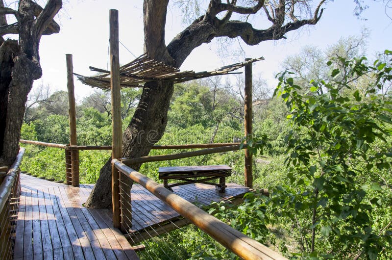 Viewing Platform on the Mapungubwe Tree Top Walkway Stock Image - Image ...