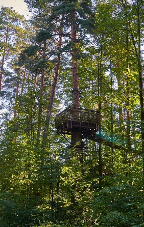 A Viewing Platform for Observing Animals and a Suspension Bridge High ...