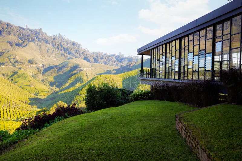 Viewpoint on the Top of Cameron Highland, Tea Valley and Sunrise Stock ...