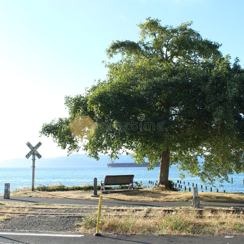 A bench with a view. stock image. Image of bench, view - 126494049