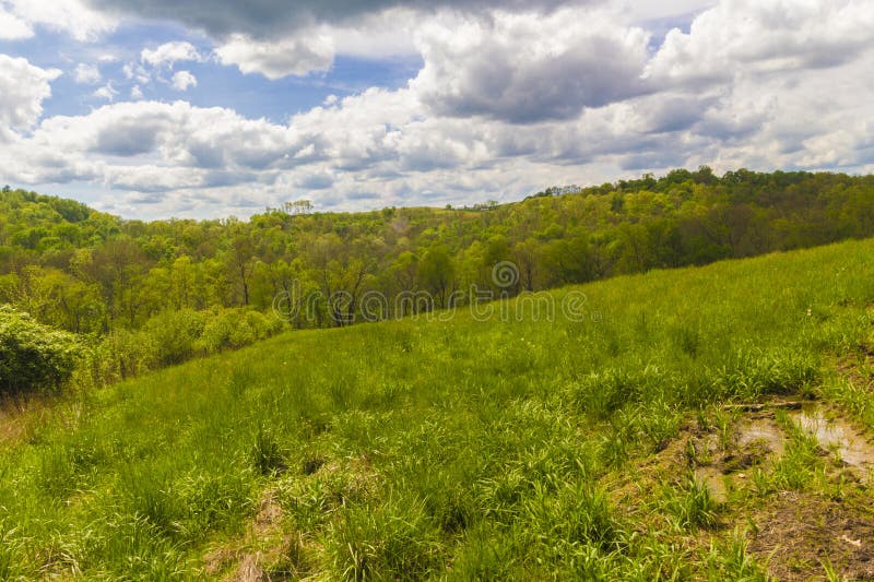 Amish Country in Ohio in Summer Stock Photo - Image of country, outdoor ...