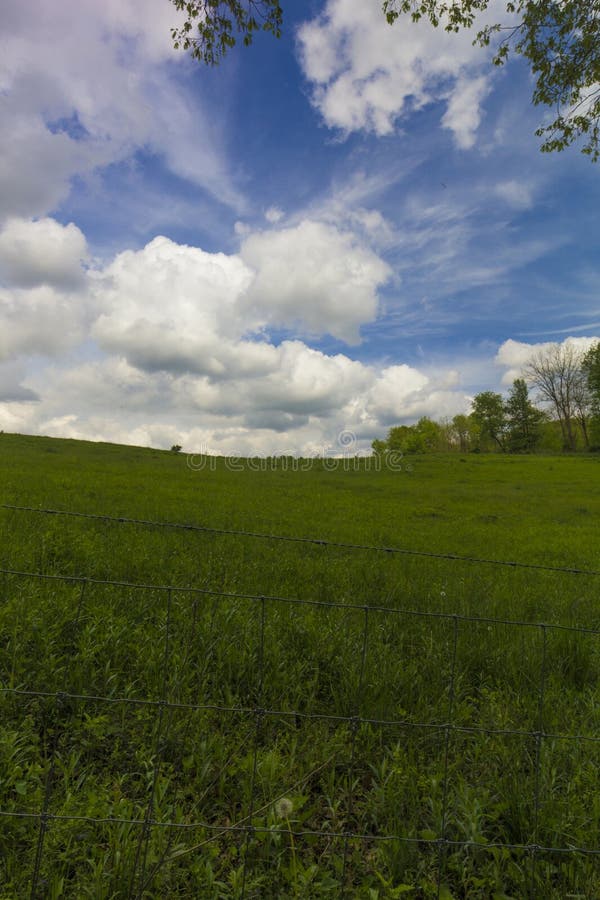 Amish Country in Ohio in Summer Stock Image - Image of outdoor, amish ...