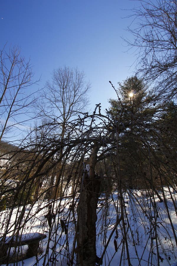 Amish Country in Ohio in Winter Stock Photo - Image of outdoor ...