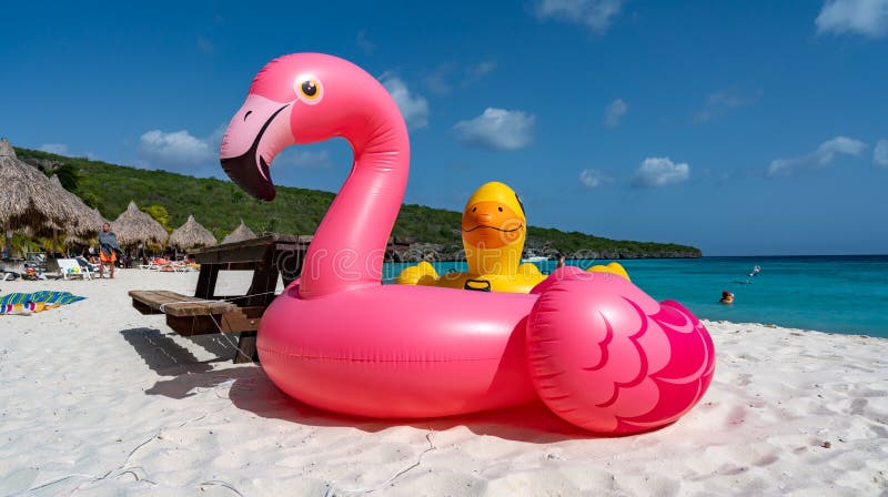 Pink Flamingo Float at Cas Abou Beach Views Around the Caribbean Island ...