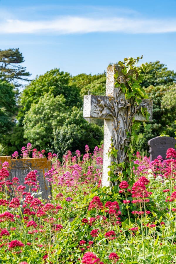 Views around a graveyard editorial photo. Image of graveyard - 323754226