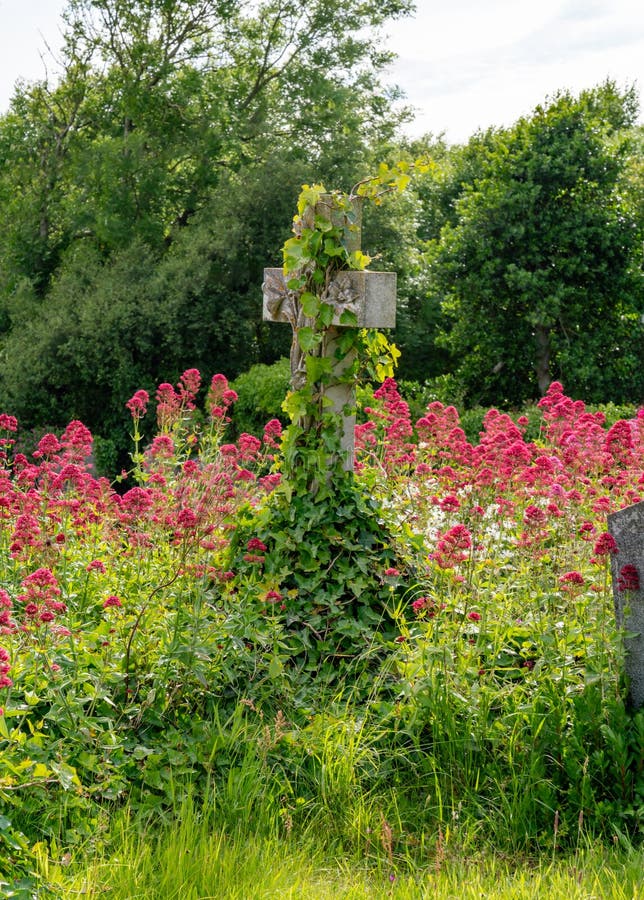 Views around a graveyard editorial photo. Image of cross - 323754516