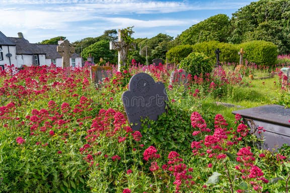 Views around a graveyard editorial stock photo. Image of pink - 323754553