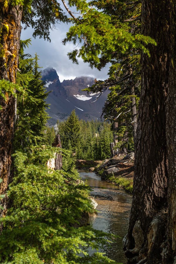 Views from the Broken Top Trail, Three Sisters Wilderness, Oregon Stock ...