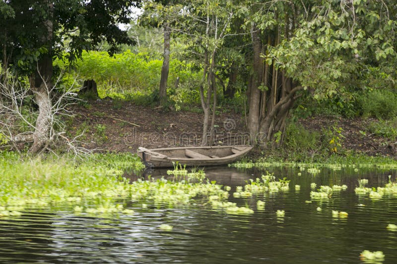 Views from the Cuipari Lake in Peruvian Jungle. Stock Photo - Image of ...