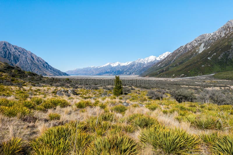 Views into a Mountain Valley with a Single Tree Stock Image - Image of ...