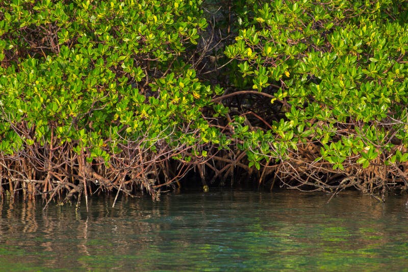 Views of the Indian River Lagoon, Florida Stock Photo - Image of east ...
