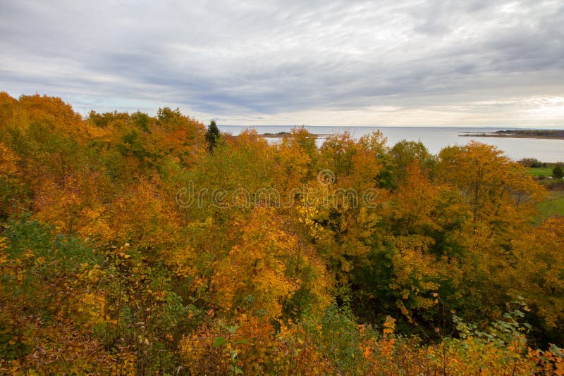 Autumn Colors at of Lake Michigan, Michigan Stock Photo - Image of ...