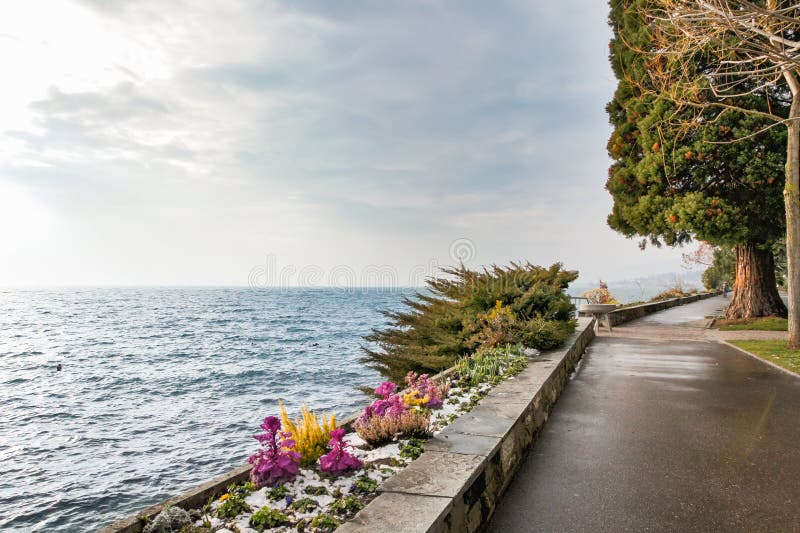 Path by the lake. stock photo. Image of promenade, scenery - 116816832