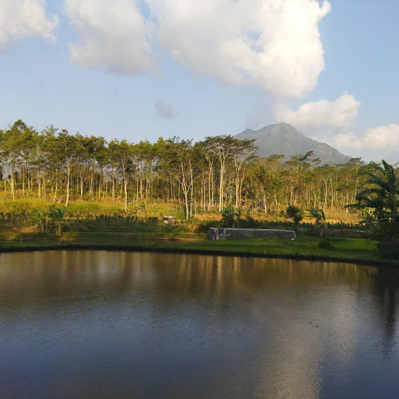 Views of Mount Andong and Rice Fields Stock Image - Image of mount ...