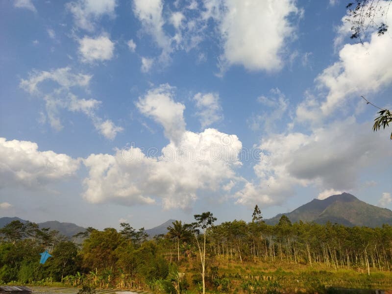 Views of Mount Andong and Rice Fields Stock Image - Image of plant ...