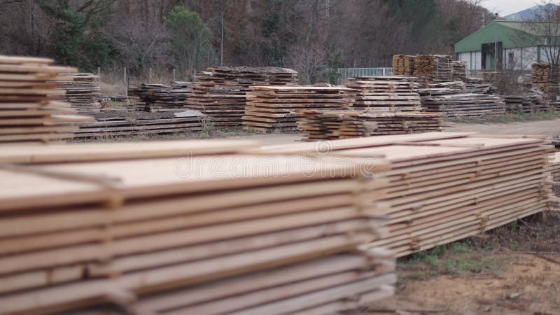 Views of an Outside Storage of Stacked Timber Stock Video - Video of ...