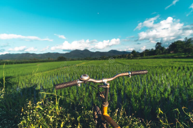 Views of Rice Fields, Rice Fields and Mountains Stock Image - Image of ...