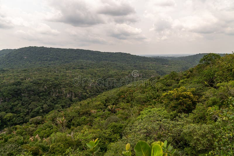 Views of the River in the Colombian Amazon Area from the Hill Stock ...