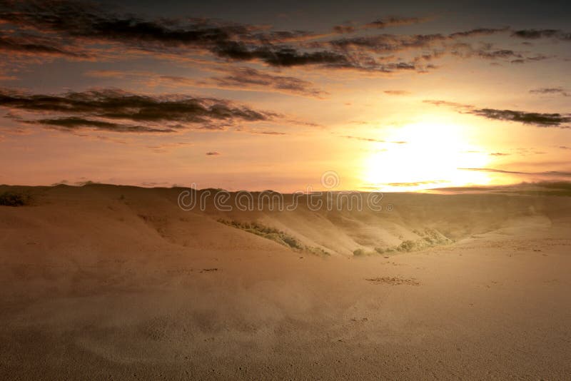 Views of sand dune stock image. Image of scenic, dusk - 175037779