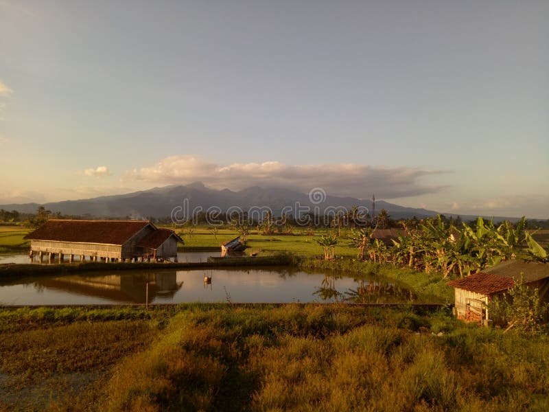Views of Sawal Mountain Seen from the Rice Fields Behind the House ...